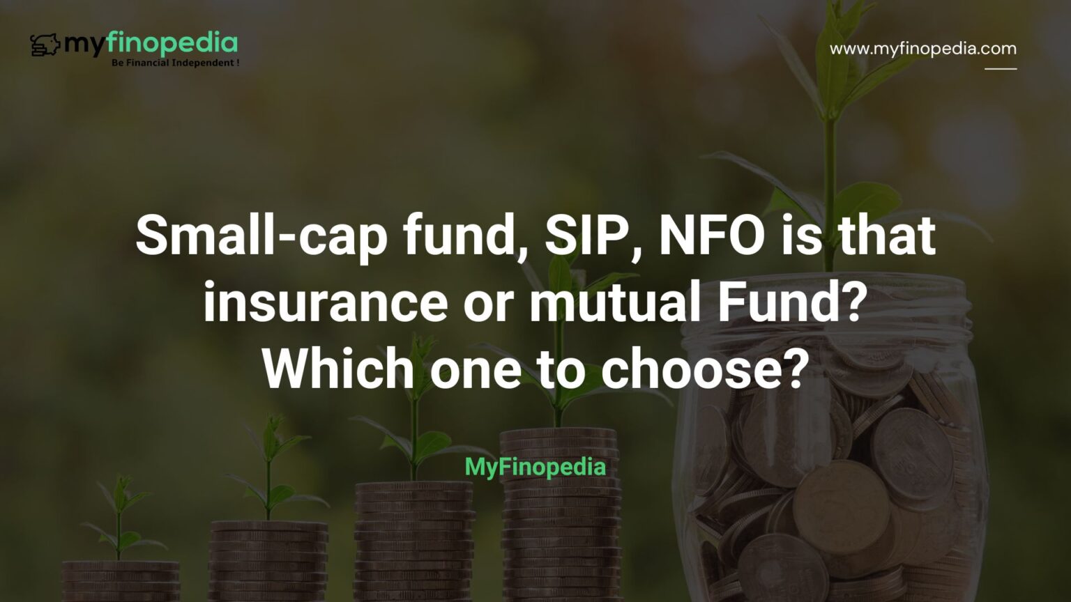 Small-cap fund, SIP, NFO is that insurance or mutual Fund?